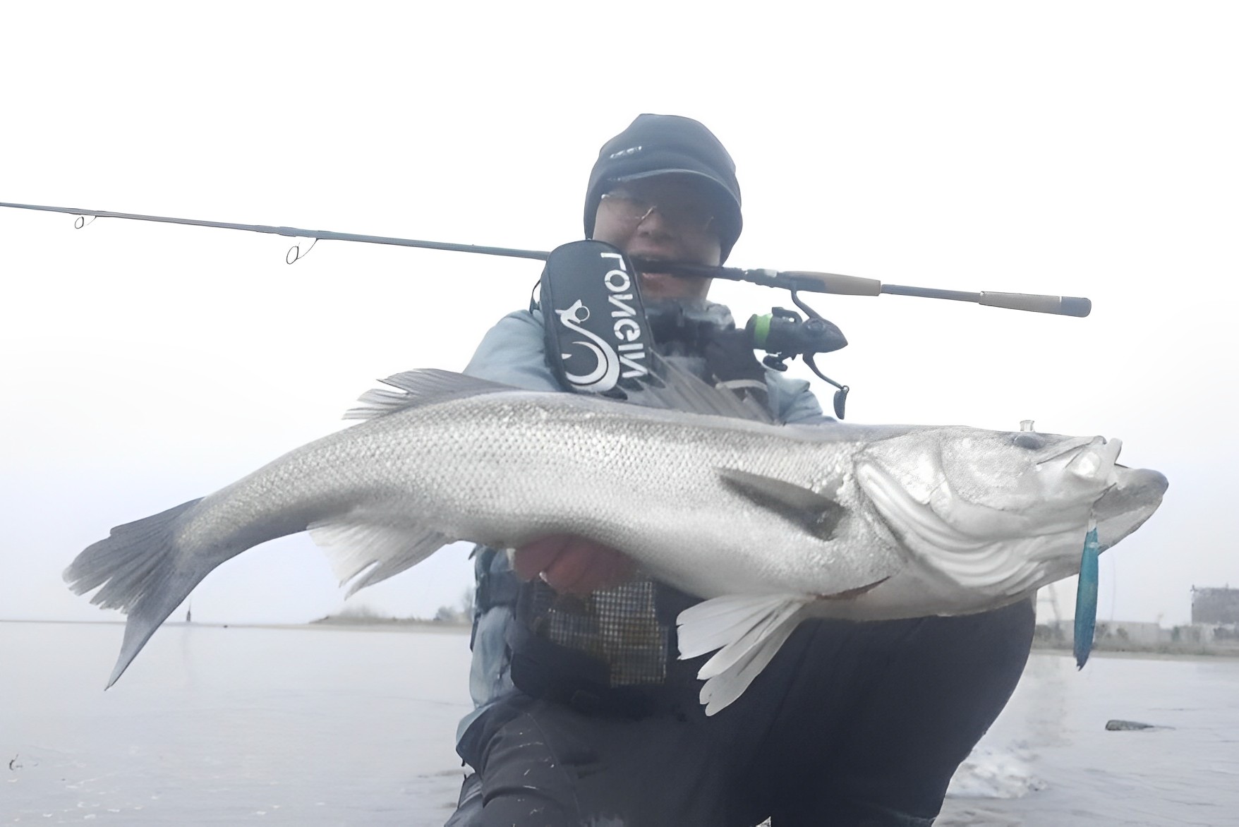 ホタルイカからコノシロまで……「MX-PROGRESS15」フル活用、富山シーバス・春の陣。 - Monster Kiss モンスターキス