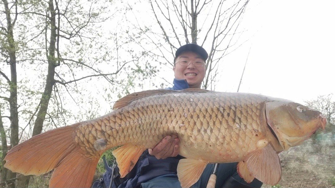 ホタルイカからコノシロまで……「MX-PROGRESS15」フル活用、富山シーバス・春の陣。 - Monster Kiss モンスターキス